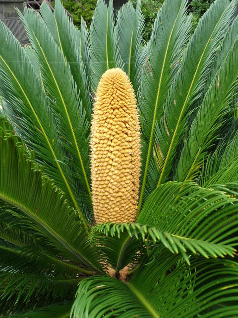 豪雨がもたらしたもの。。: 思い出ワンワン